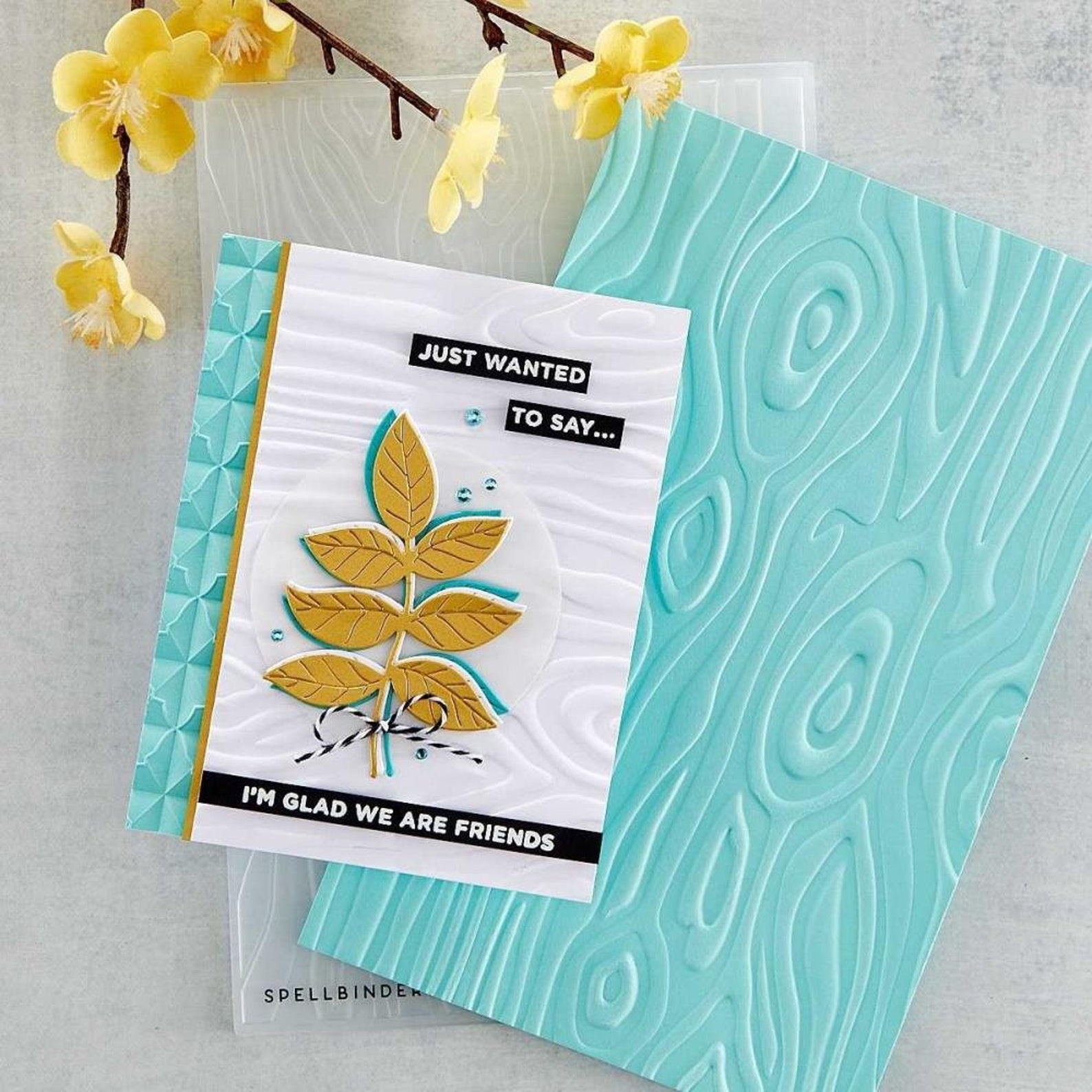 Spellbinders 3D Embossing Folder 5.5x8.5 Knock - Etsy