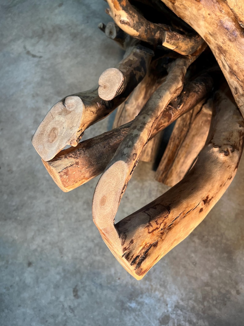 Sycamore Root Table Base Glass Rootball Reclaimed Salvaged Dining - Etsy