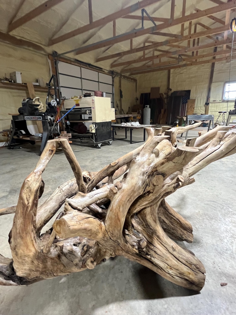 Sycamore Root Table Base Glass Rootball Reclaimed Salvaged Dining - Etsy