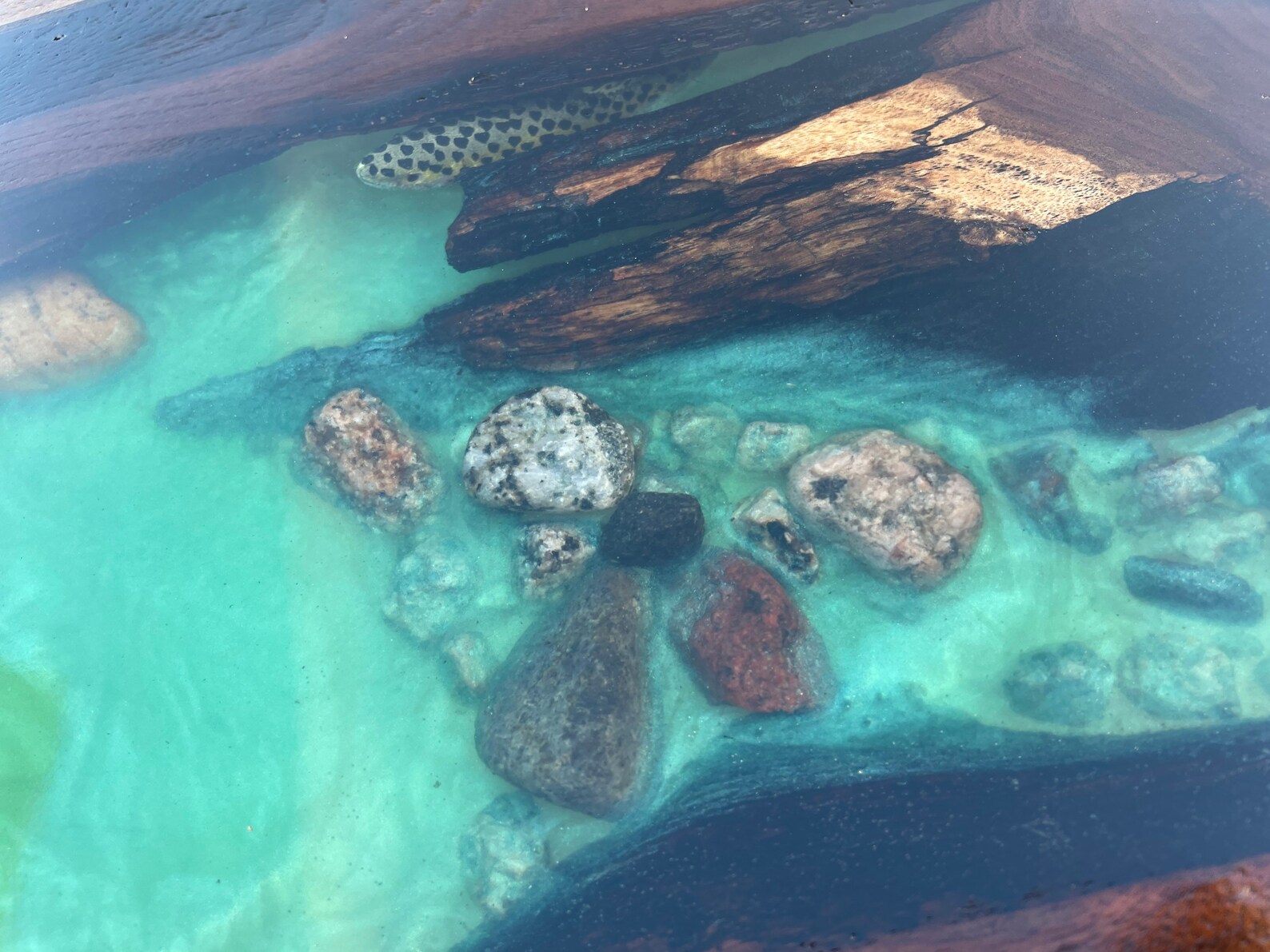 L Shaped Bartop River Table With Stone Rocks Trout Walnut Live Edge - Etsy