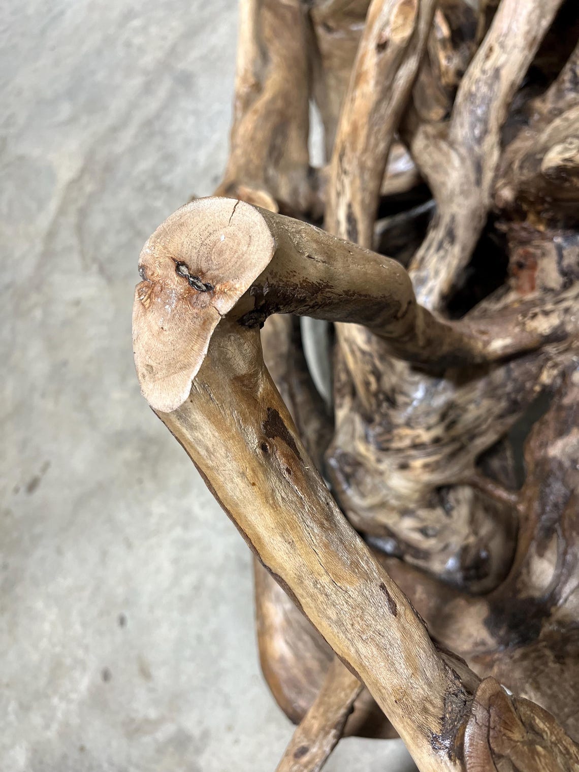 Sycamore Root Table Base Glass Rootball Reclaimed Salvaged Dining - Etsy