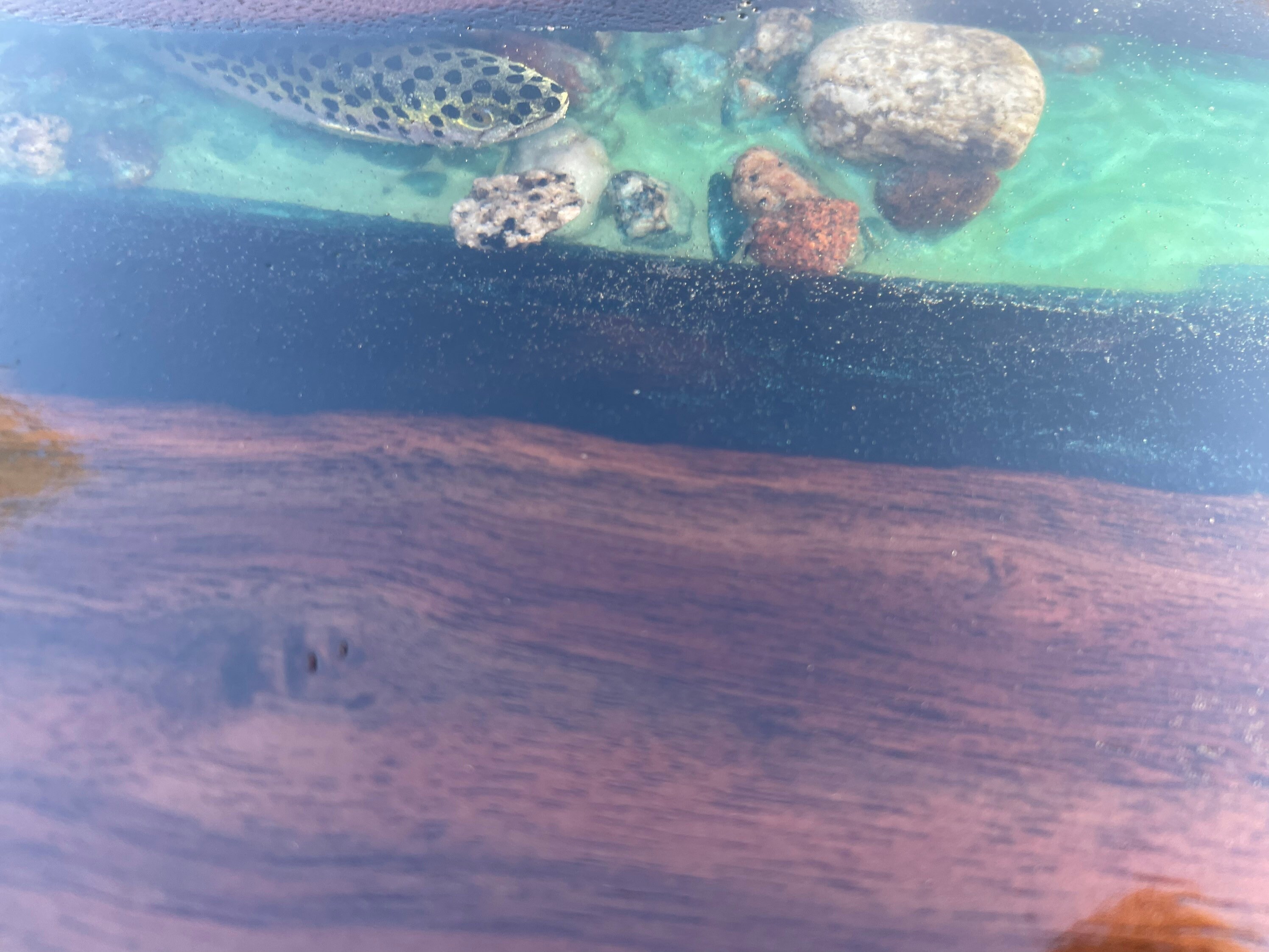 L Shaped Bartop River Table With Stone Rocks Trout Walnut Live Edge - Etsy
