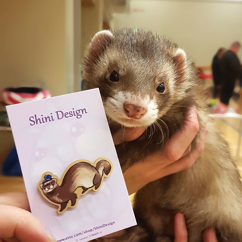 Enamel Ferret Pins - Etsy UK