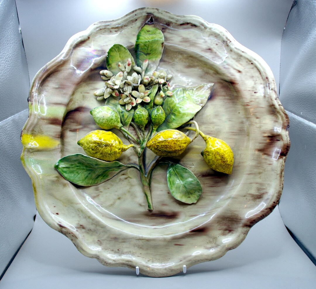 C19th PORTUGUESE MAJOLICA PALISSY Trompe L 0eil Lemon Branch Large Wall ...