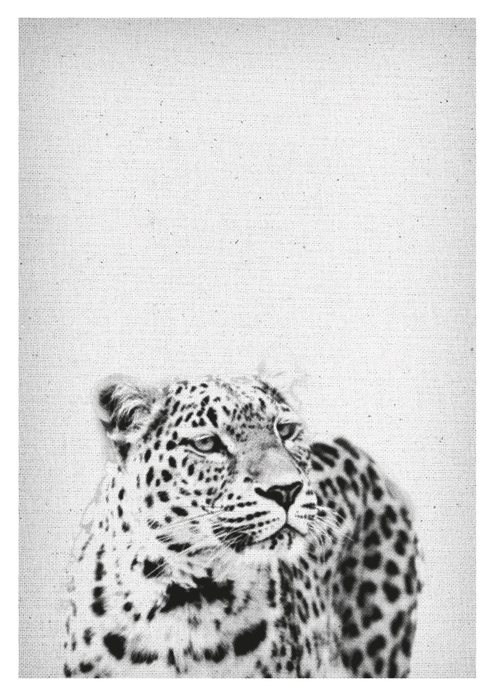 Leopard Print, Animal Print, Leopard Download, Leopard Printable ...