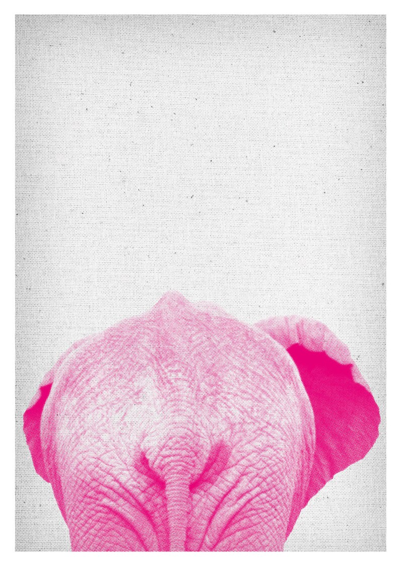 Elephant Print Elephant Poster Pink Elephant Elephant Wall | Etsy
