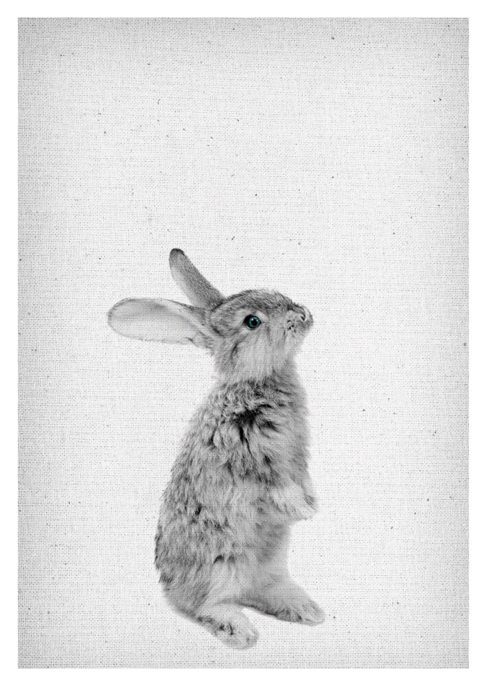Rabbit Print Woodlands Nursery Art Rabbit Wall Decor Black - Etsy