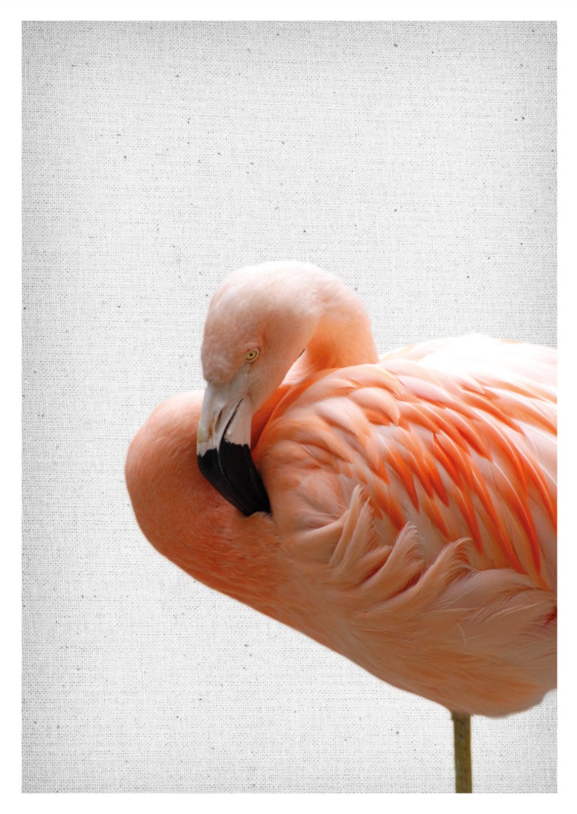 Flamingo Wall Art Prints Minimalist Wall Decor Flamingo - Etsy