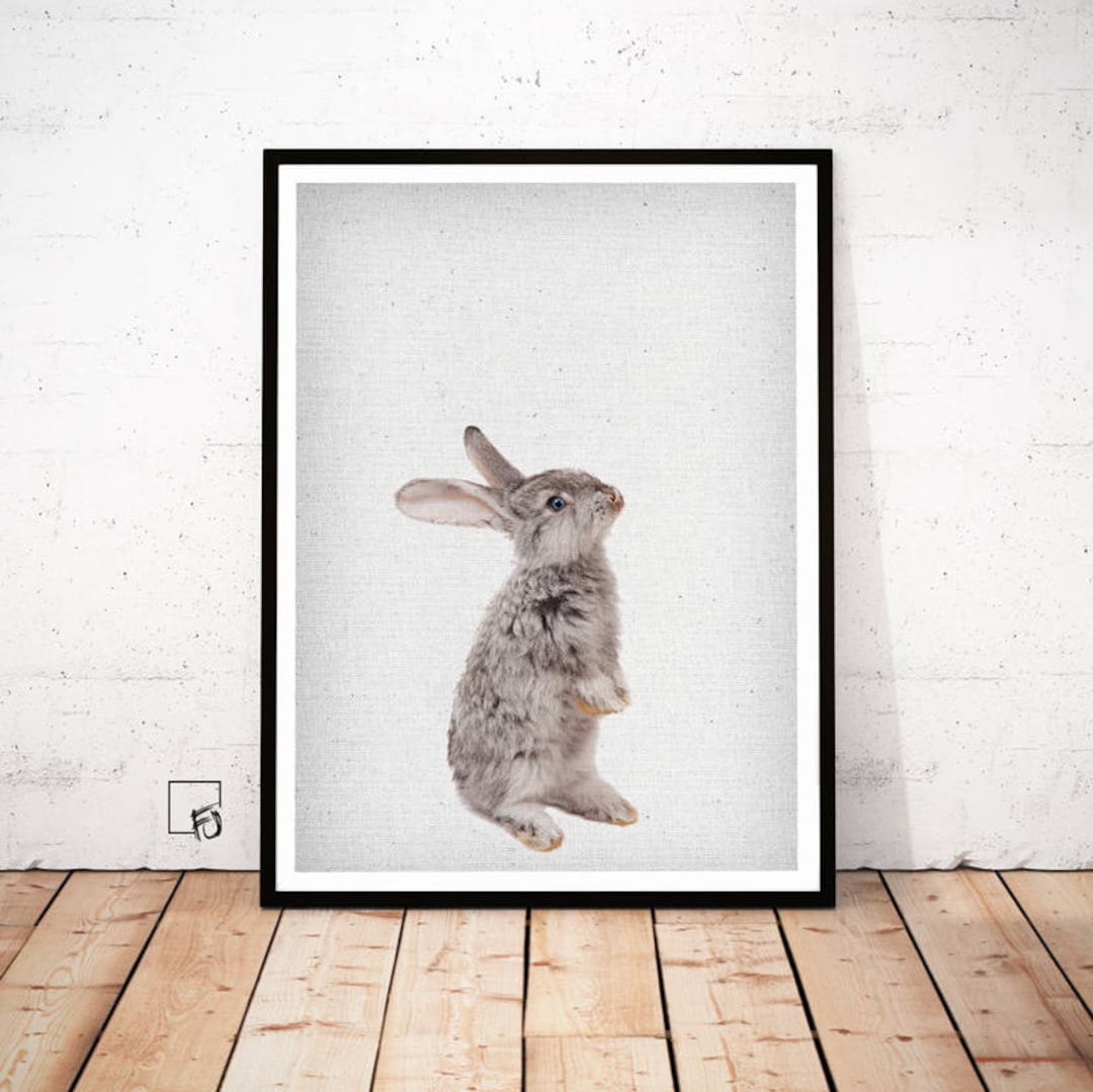 Rabbit Print, Rabbit Wall Decor, Rabbit Poster, Printable Bunny, Rabbit ...