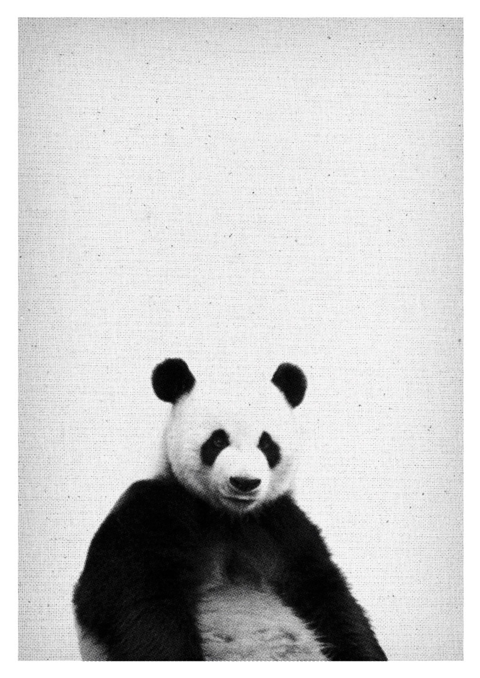 Panda Print, Panda Woodland Poster, Animal Print, Panda Decor, Panda ...