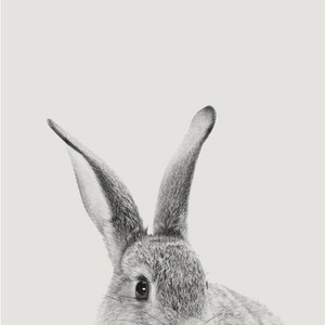 Rabbit Print, Scandinavian Art, Rabbit Poster, Rabbit Art, Nursery ...