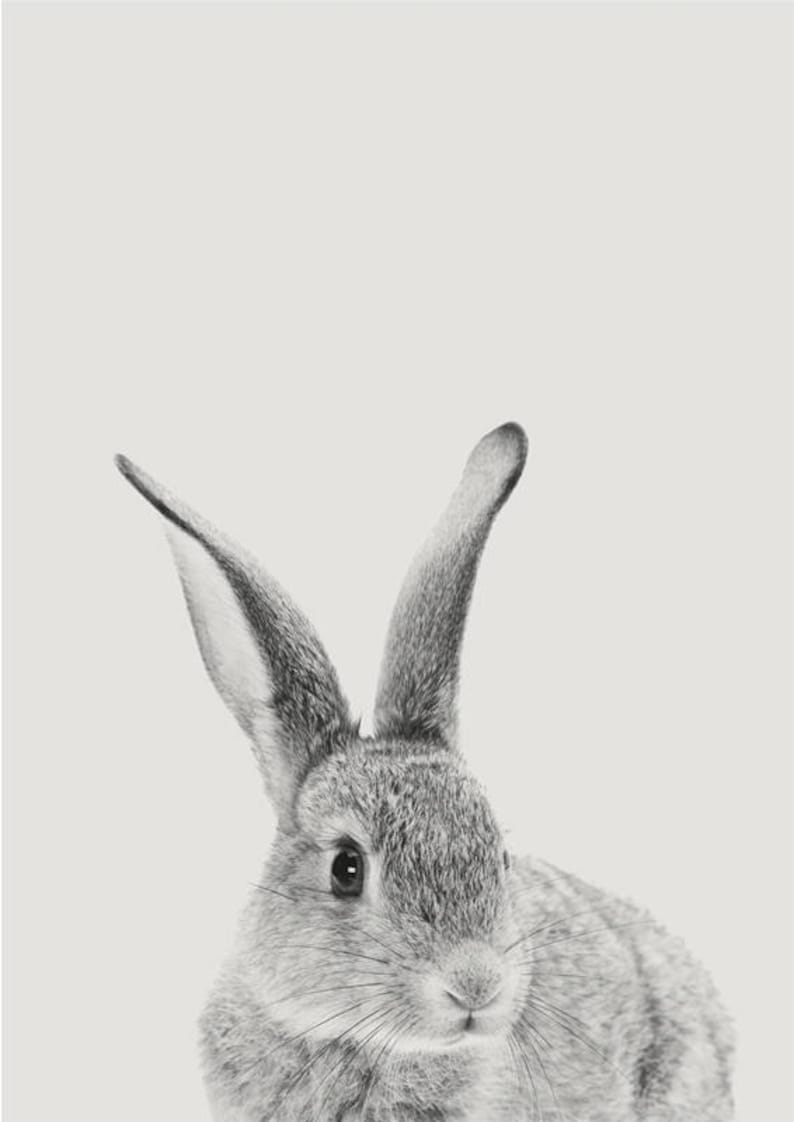 Rabbit Print, Scandinavian Art, Rabbit Poster, Rabbit Art, Nursery ...