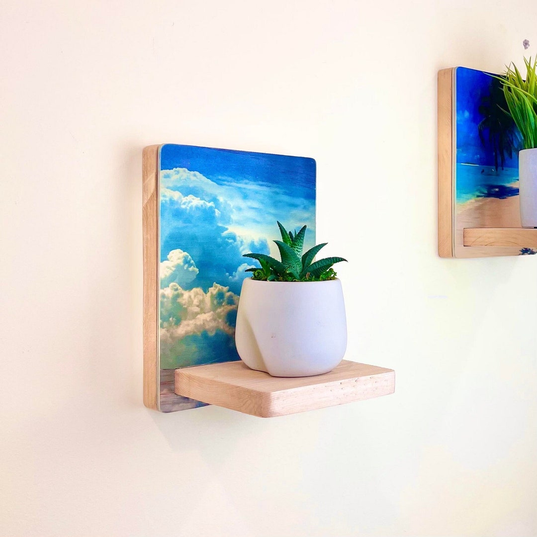 Floating Plant Shelf Floating Plant Stand Floating Wall - Etsy