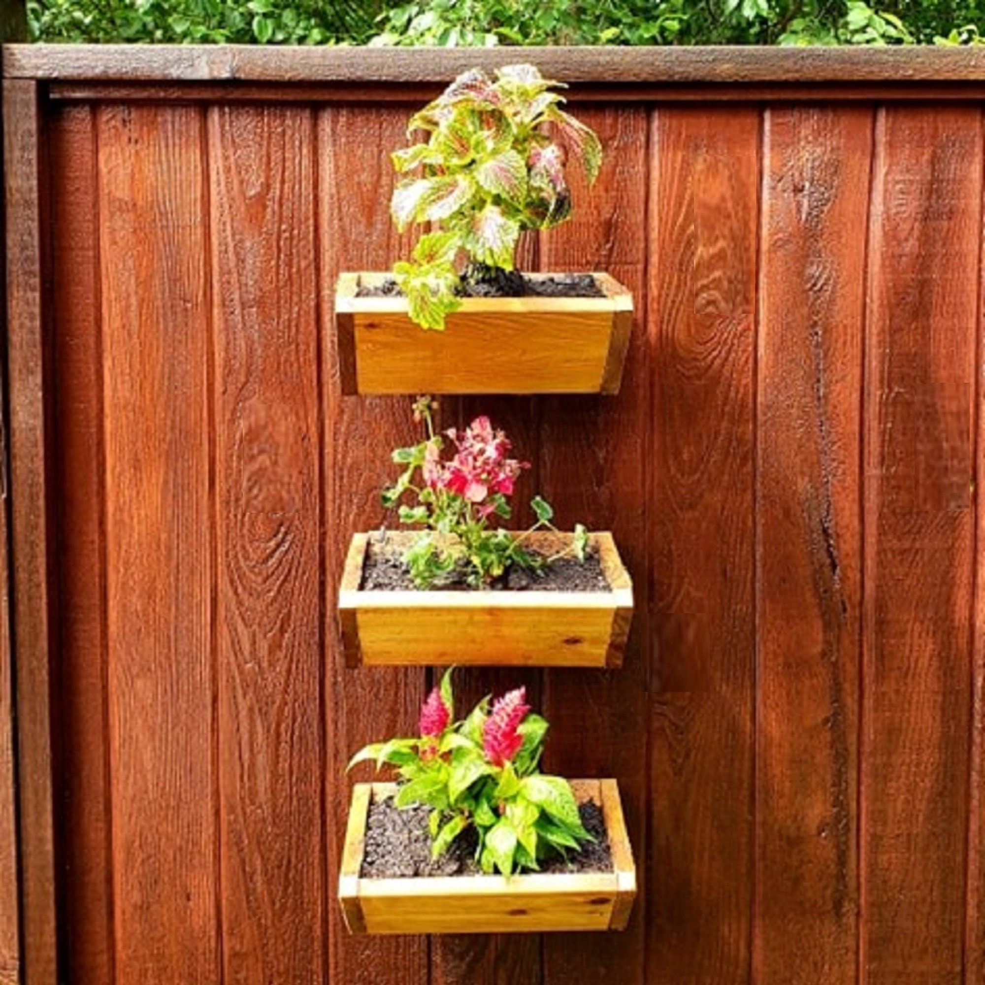 Floating Planter 3 Pack Cedar Floating Garden Planter Set Garden, Herb ...