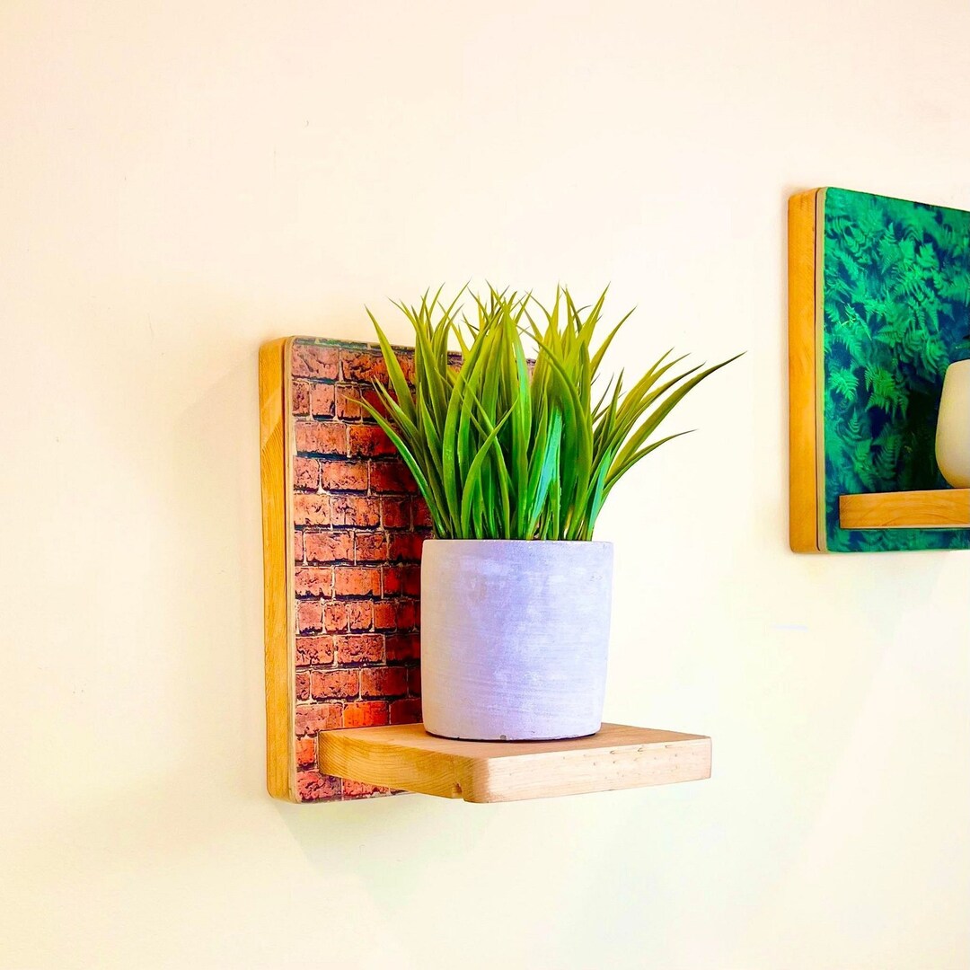 Floating Plant Shelf Floating Plant Stand Floating Wall - Etsy Australia