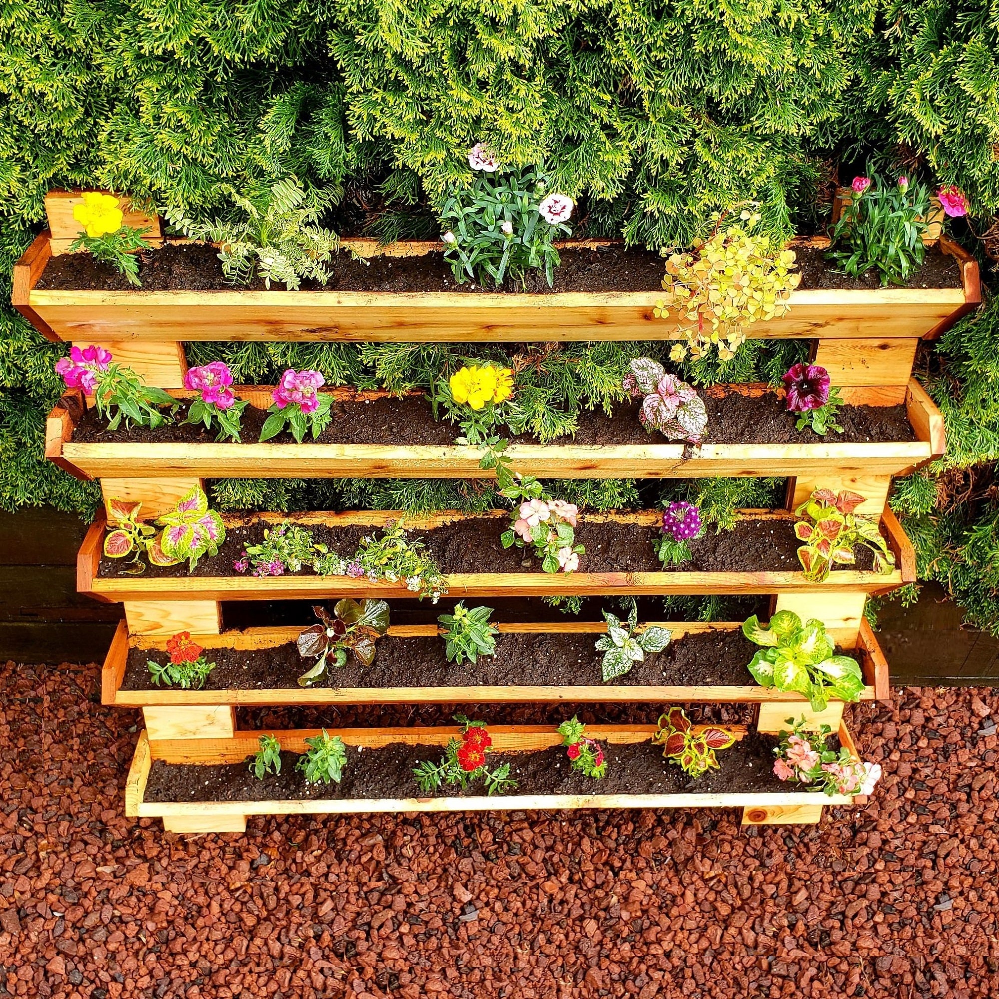 Cedar Ladder Planter 5 Level 12 48 Wide - Etsy Canada