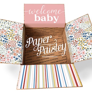 Care Package Sticker Kit - Baby Girl/welcome Baby/virtual Baby Shower ...