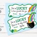 St Patrick’s Day Bag Toppers. Printable St Patricks Day Bags Toppers ...