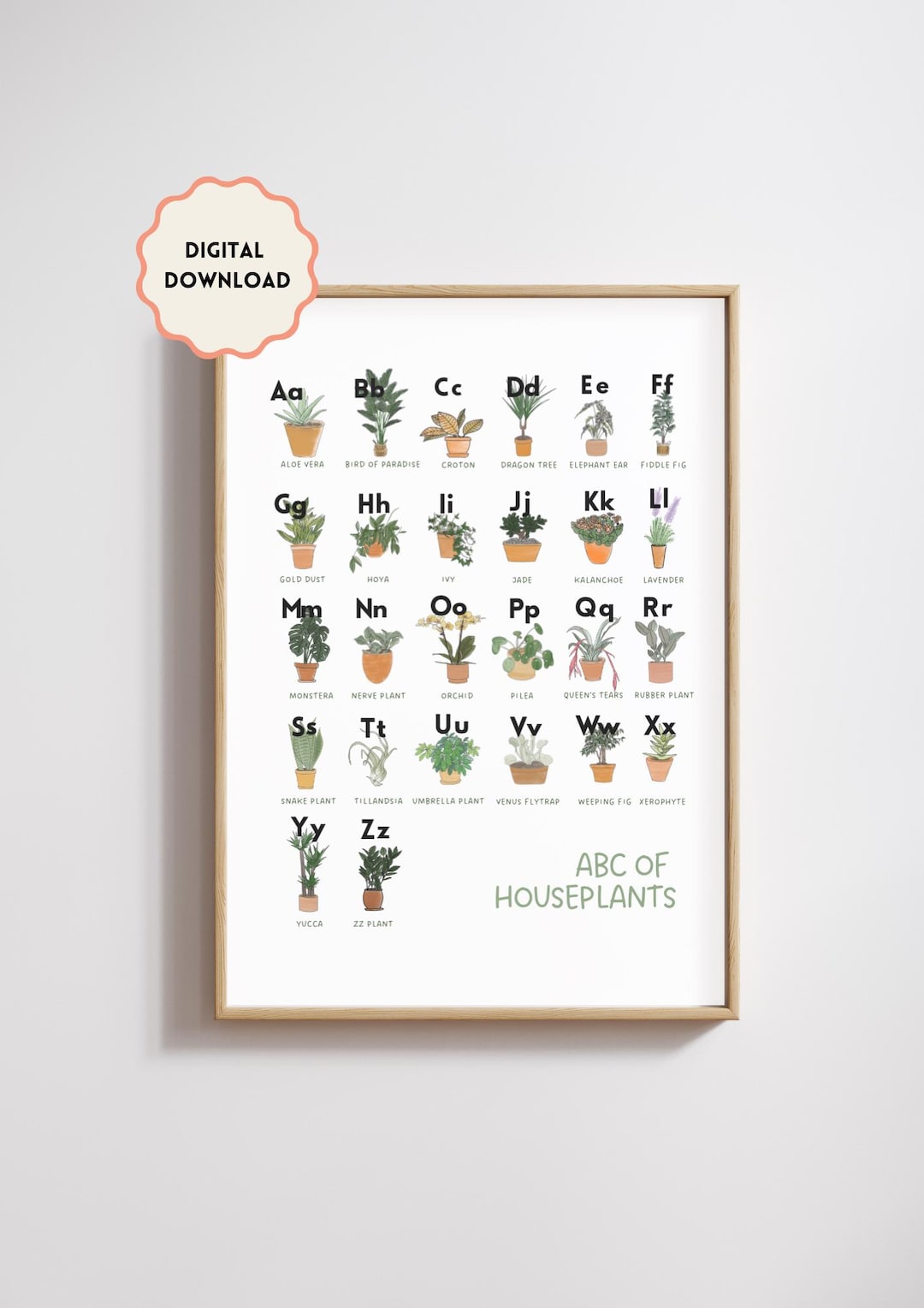 ABC of Houseplants Prints | Houseplant Poster | ABC Plant Illustrations ...