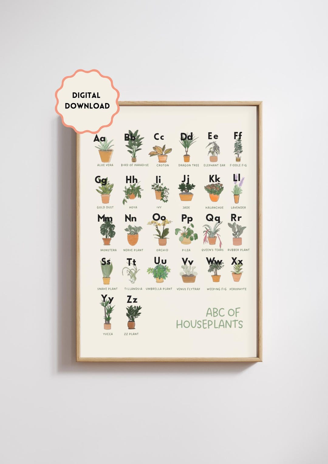 ABC of Houseplants Prints | Houseplant Poster | ABC Plant Illustrations ...