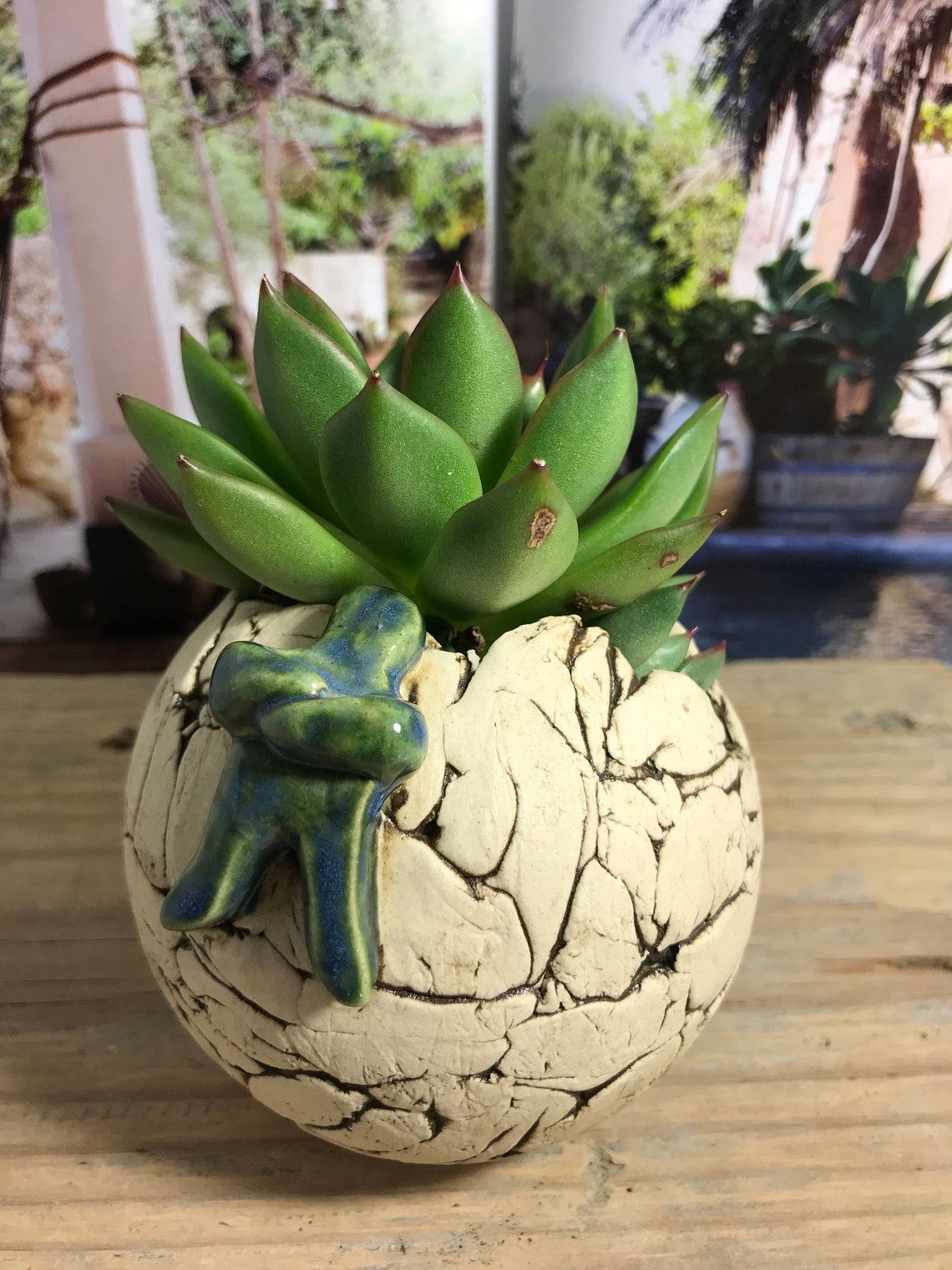 Sphere Pot Planter/Small Sphere Pot/Ceramic Pot Planter/Cactus | Etsy