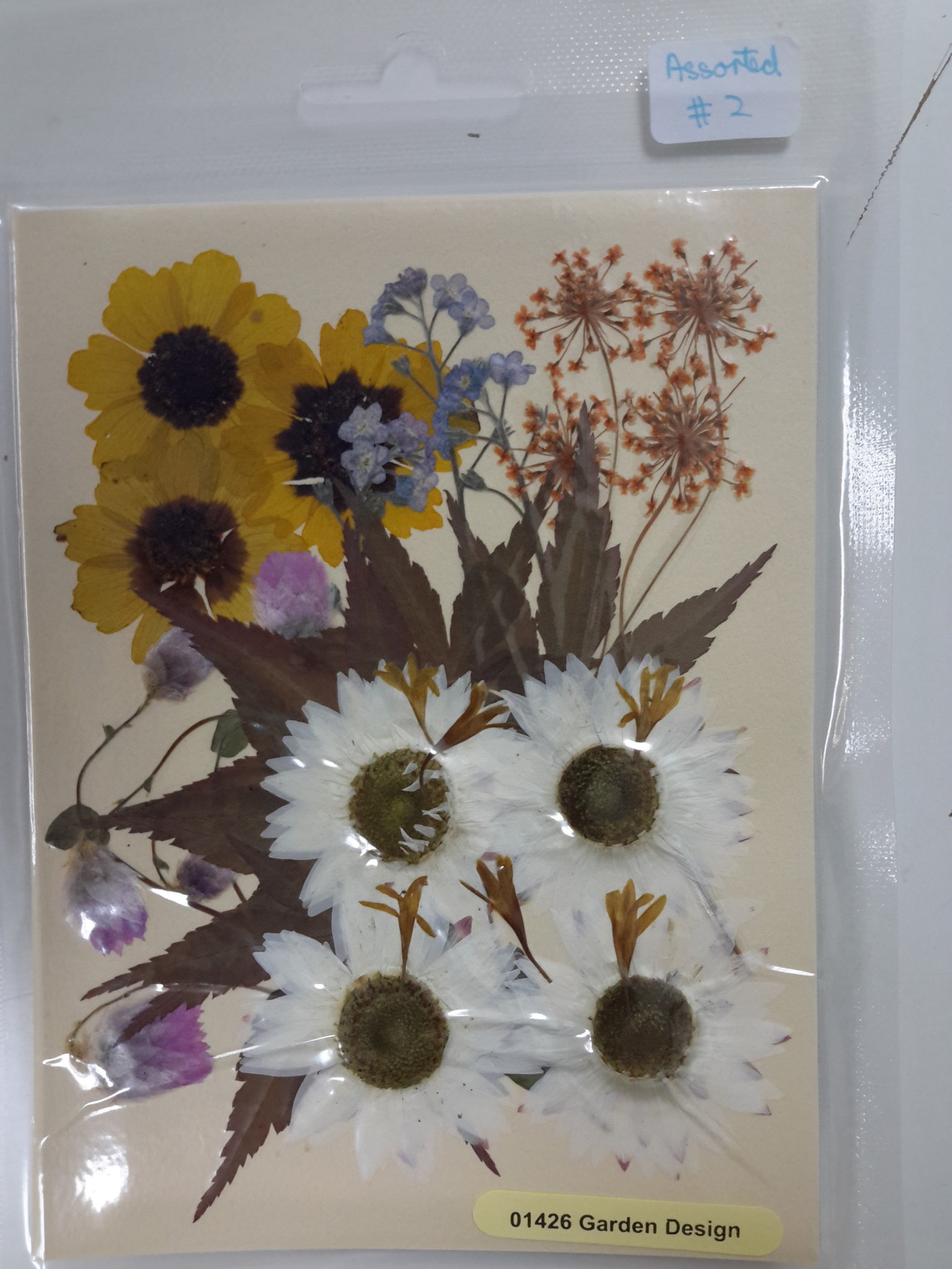 Assorted No.2 - Pressed Flower Raw Material - Etsy