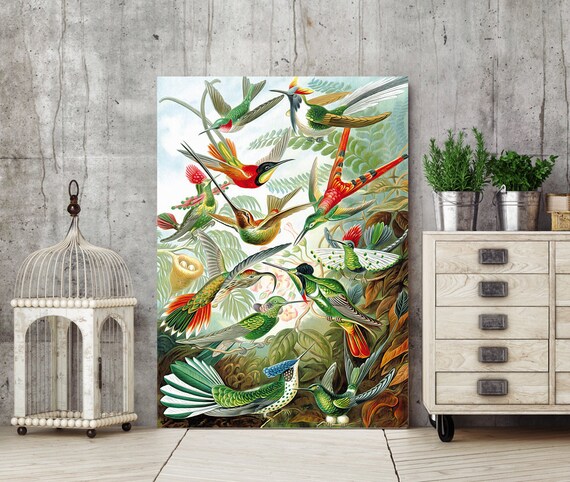 Colorful Birds Poster | Etsy