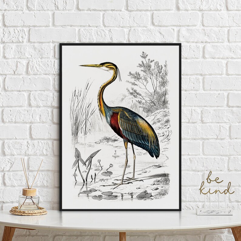 Vintage Bird Poster Illustration White Vintage Poster Old - Etsy