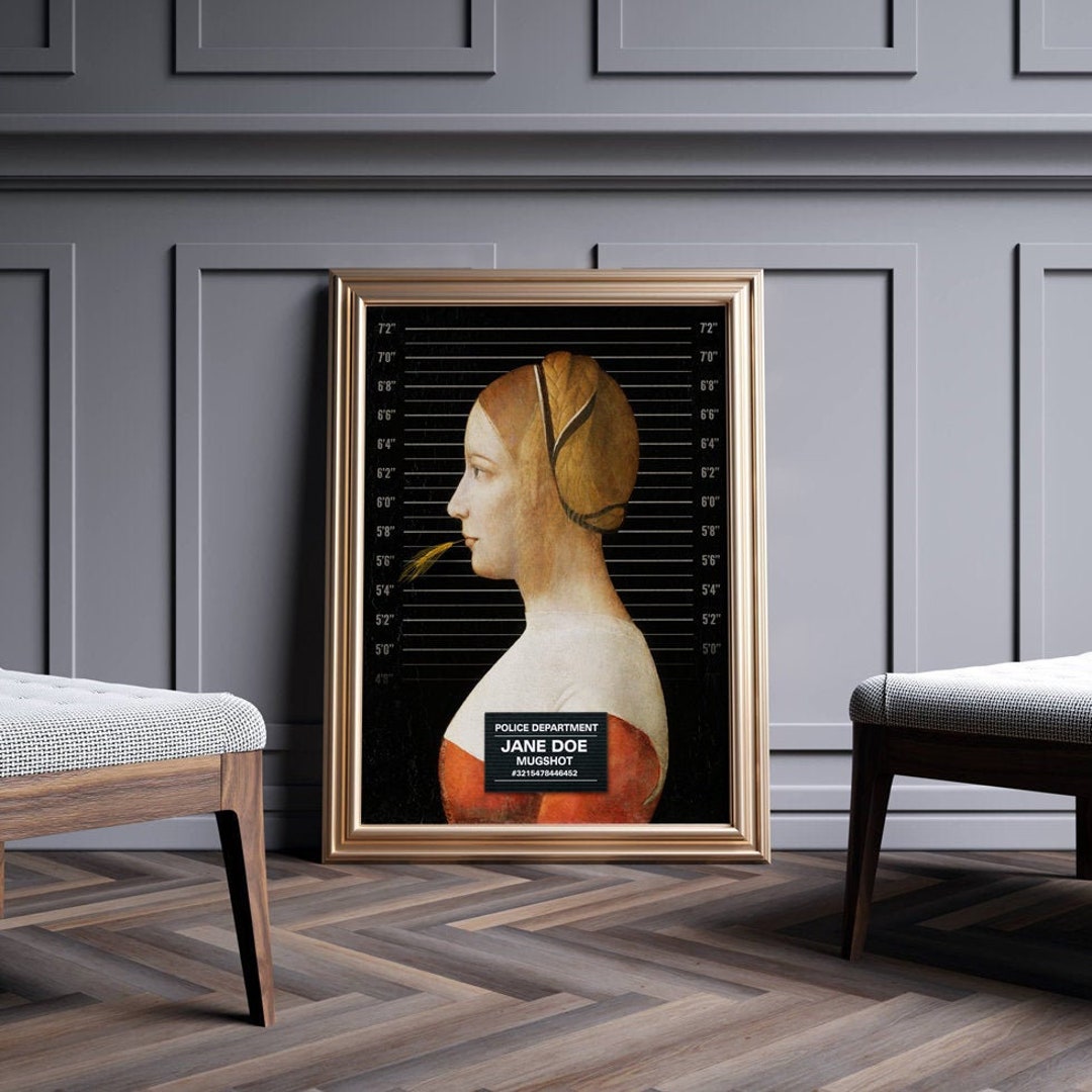 Jane Doe Mug Shot Portrait Poster Funny Art Original Print Poster Woman ...