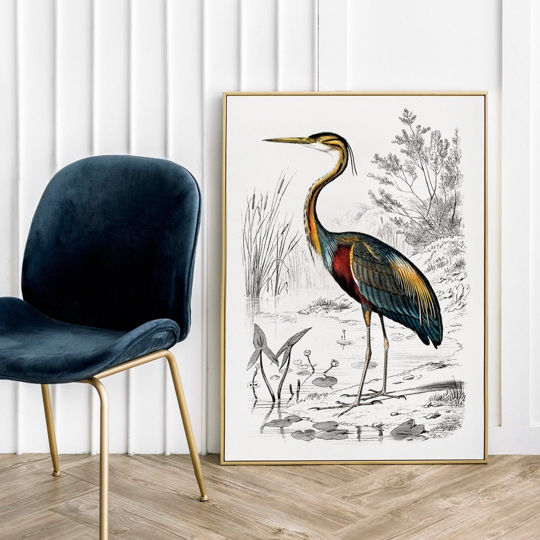 Vintage Bird Poster Illustration White Vintage Poster Old Graphics - Etsy