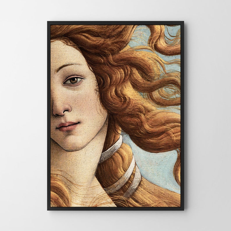 The Birth of Venus Botticelli Poster Canvas Art Famous Art - Etsy