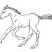 5-piece Printable Set of Equine Coloring Pages - Etsy