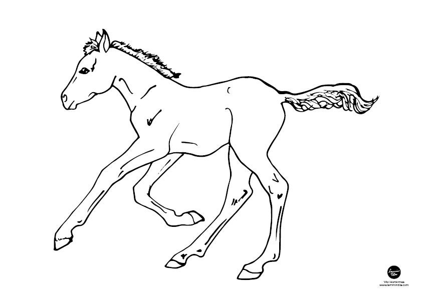5-piece Printable Set of Equine Coloring Pages - Etsy