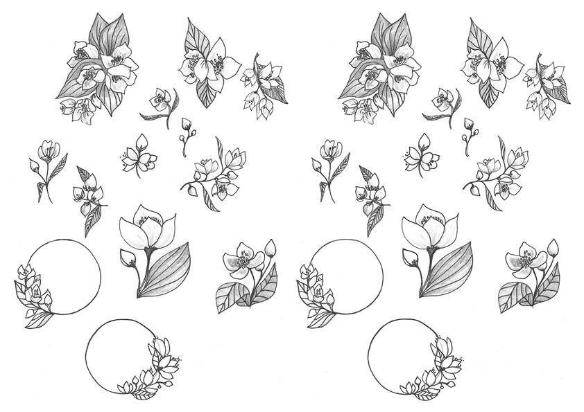 Printable Jasmine Flower Stickers A4, A5, US Letter, Half Letter Sizes ...