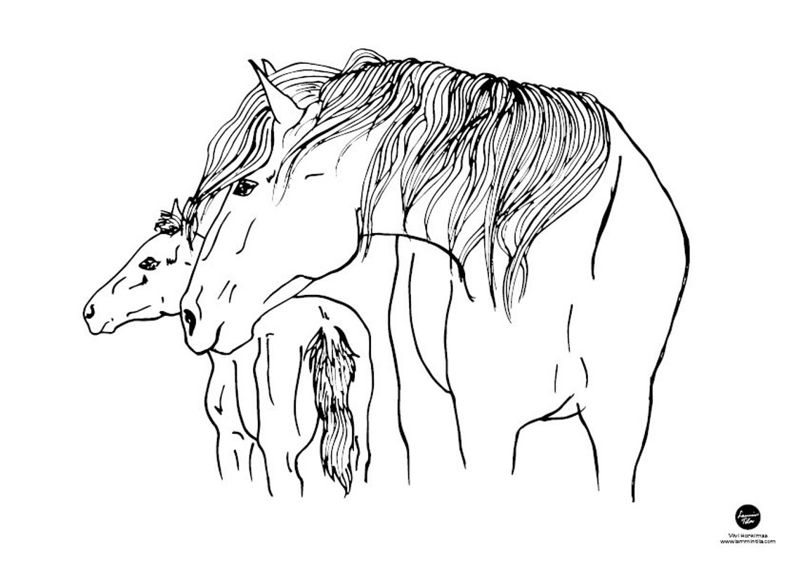 5-piece Printable Set of Equine Coloring Pages - Etsy