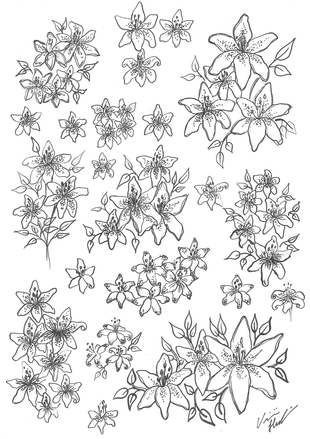 Printable Lily Stickers - Etsy