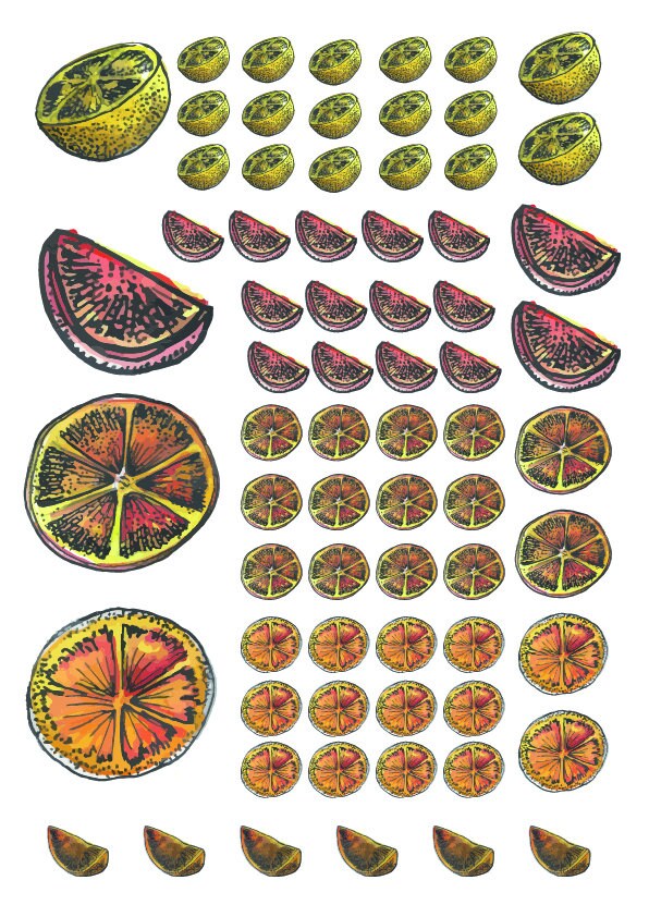 Printable Citrus Sticker Sheet for Planner, Bujo, Bullet Journal ...