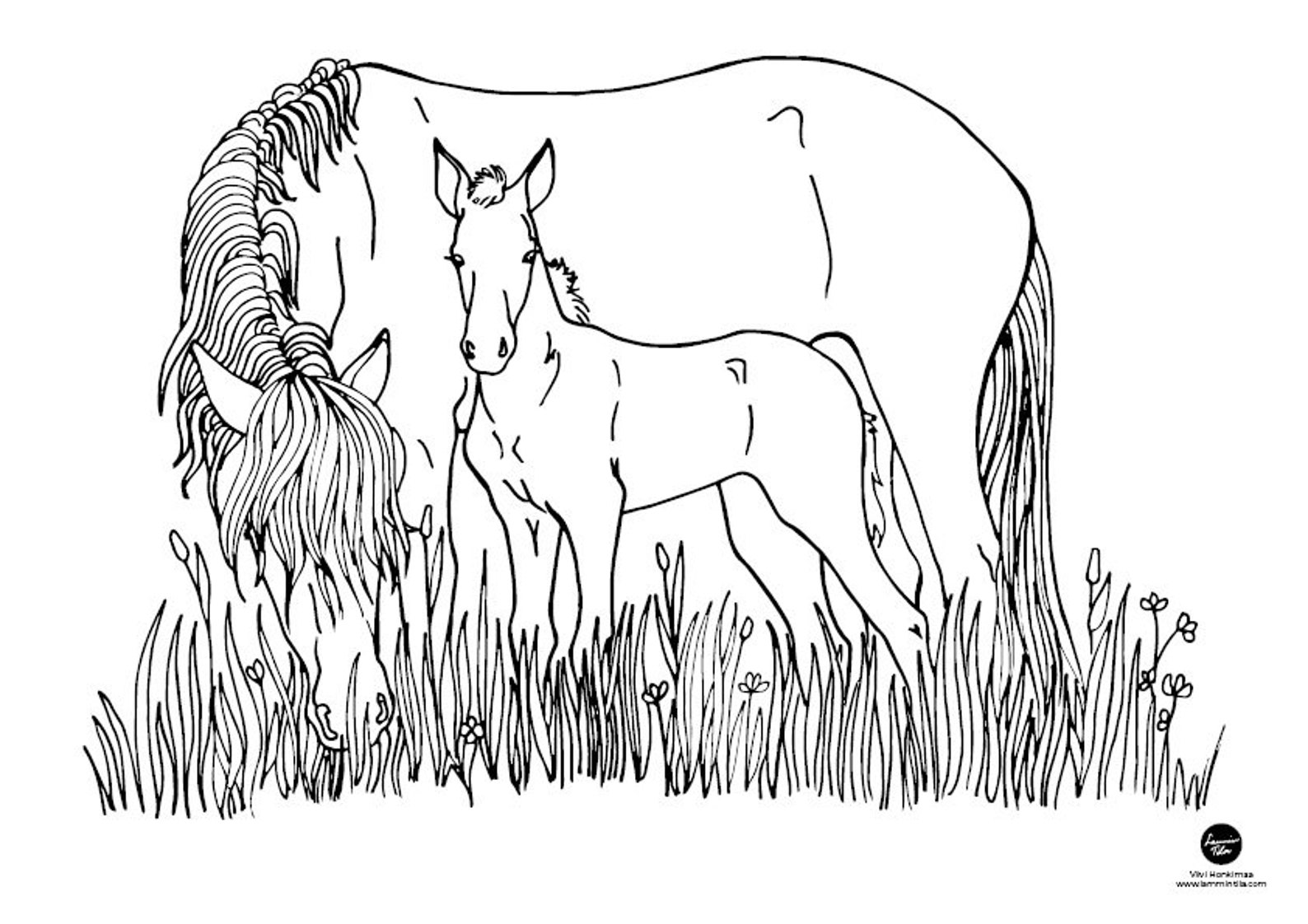 5-piece Printable Set of Equine Coloring Pages - Etsy