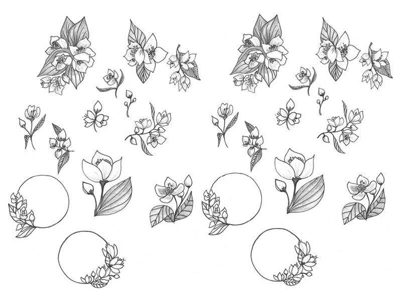 Printable Jasmine Flower Stickers A4, A5, US Letter, Half Letter Sizes ...