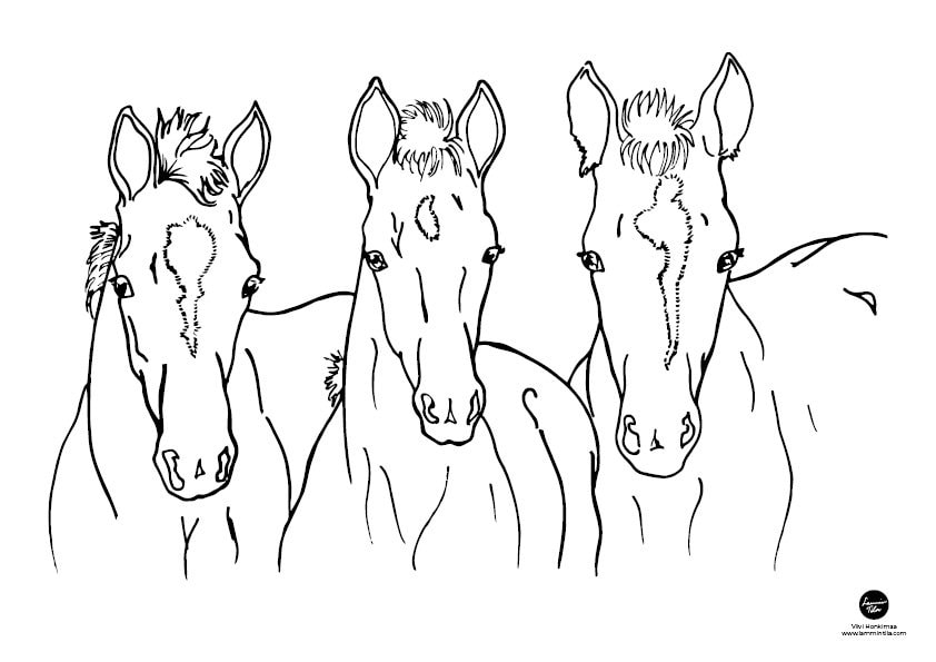5-piece Printable Set of Equine Coloring Pages - Etsy