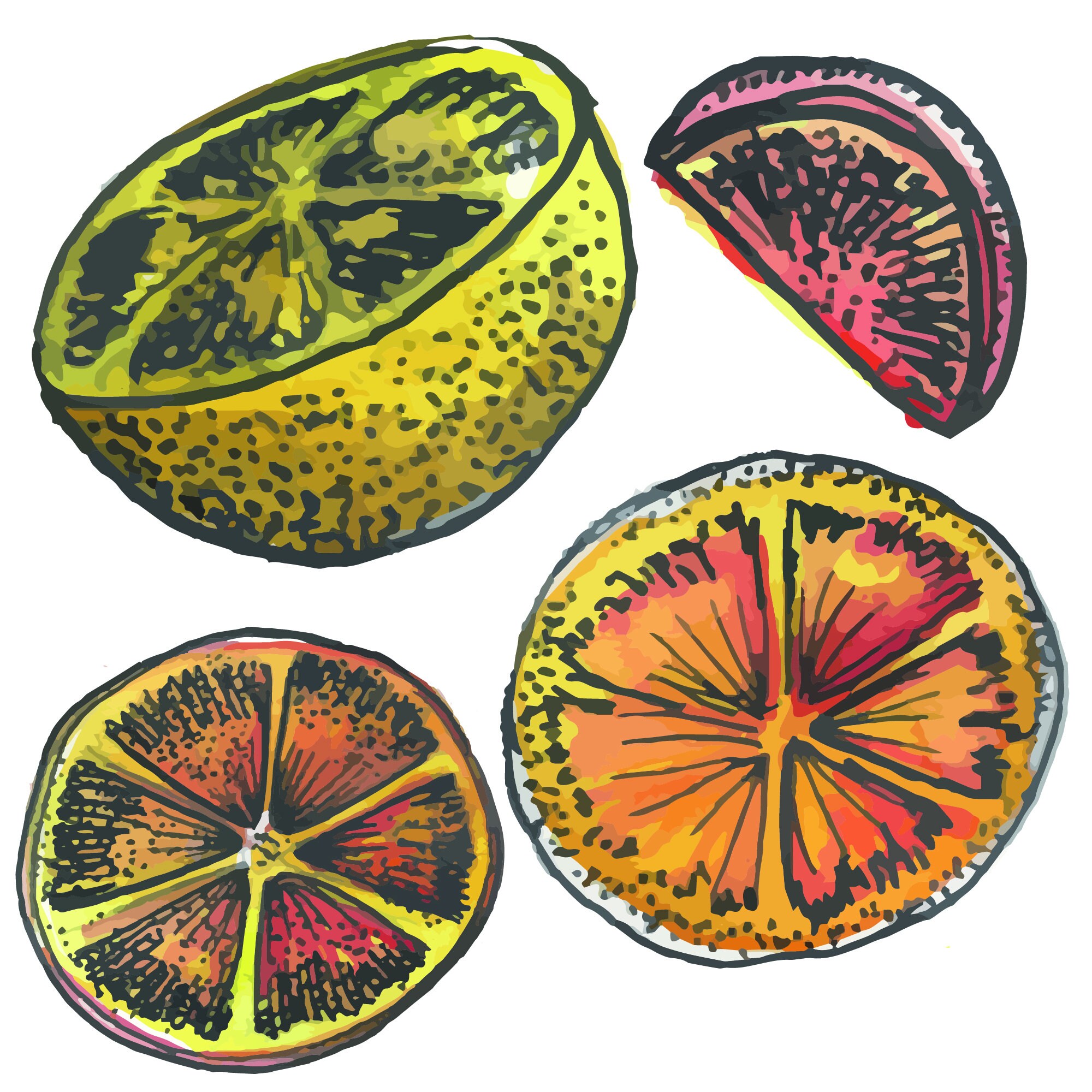 Printable Citrus Sticker Sheet for Planner, Bujo, Bullet Journal ...