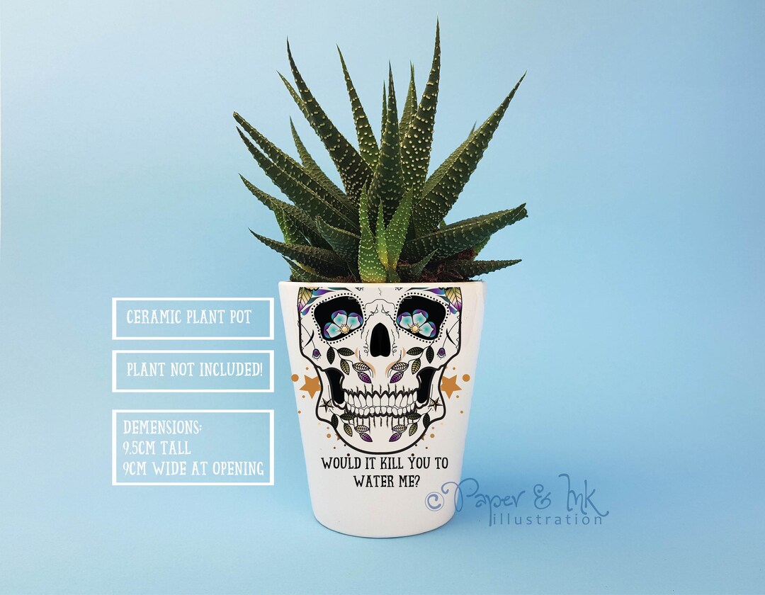 Funny Plant Pot, Funny Indoor Planter, Friend Who's Bad With Plants ...