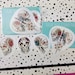 Skull Themed Sticker Pack, Sticker Set, With Skulls, Sugar Skull ...