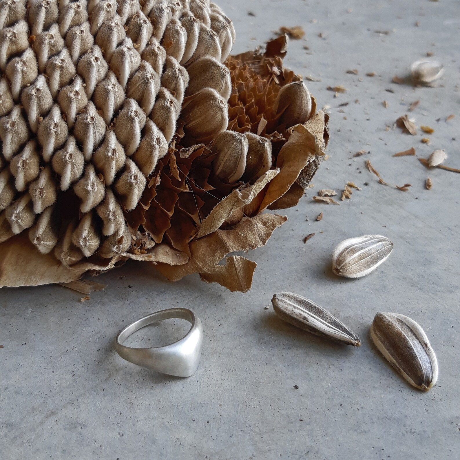 Plain Silver Ring With No Frills - Etsy