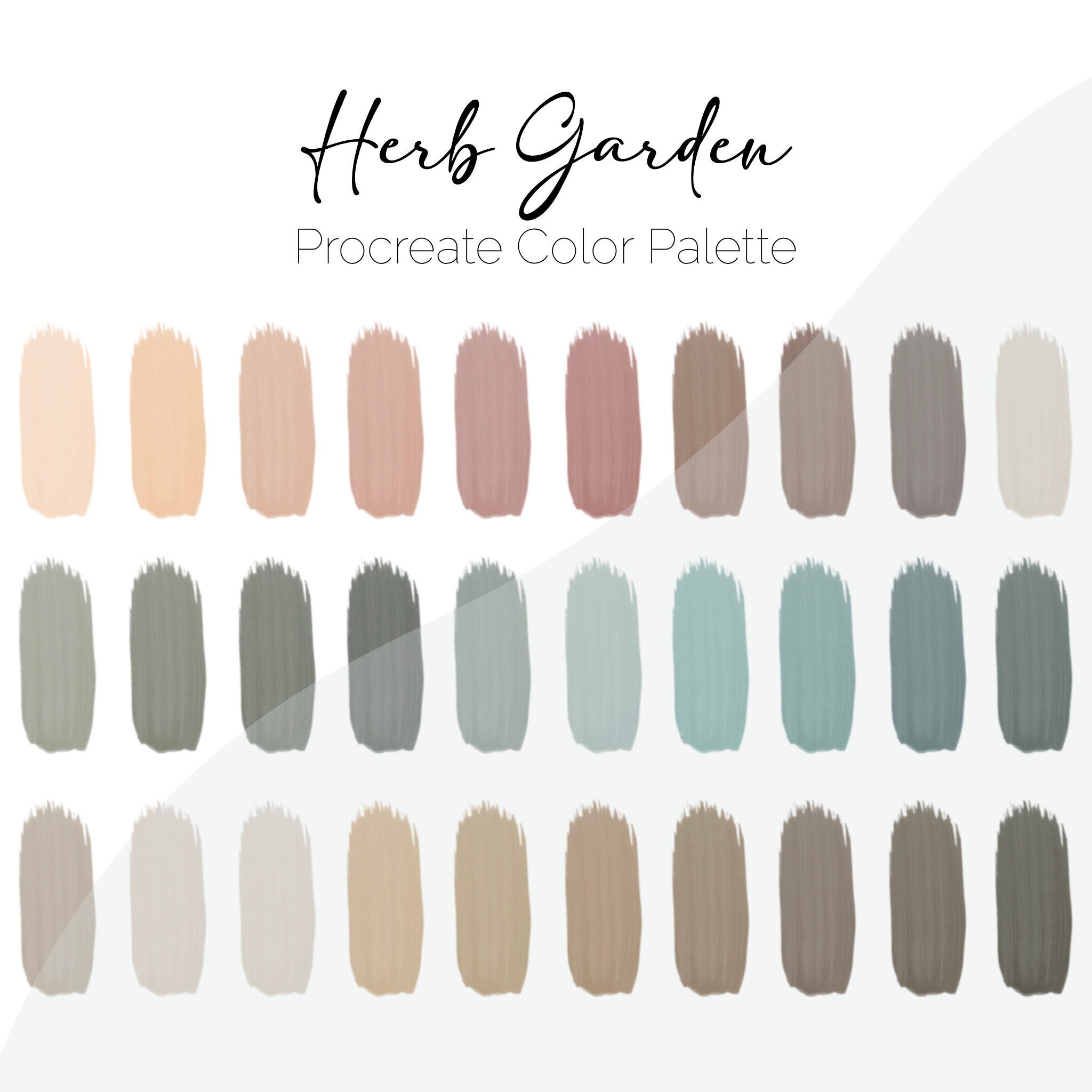 Procreate Color Palette Color Swatches Herb Garden Muted Garden Colors