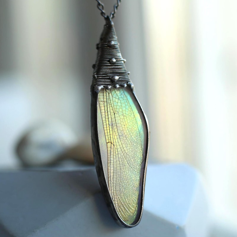 Bug Wing - Etsy