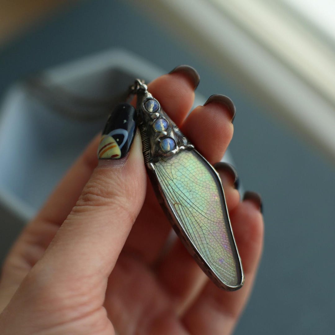 Real Dragonfly Wing Necklace, Winged Bug Jewelry, Dragonfly Pendant ...