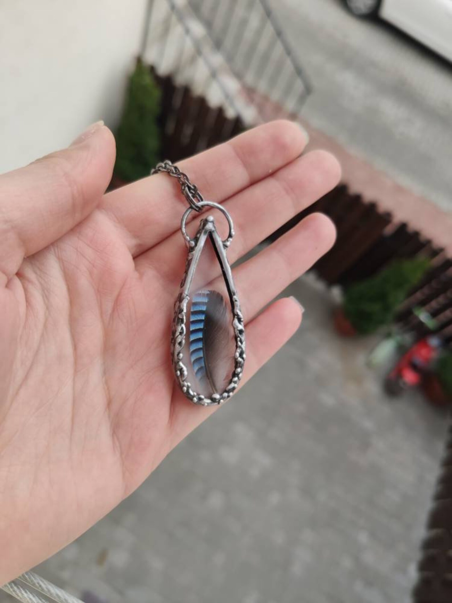 Jay Necklace Jay Feather Pendant Terrarium Feather Necklace | Etsy