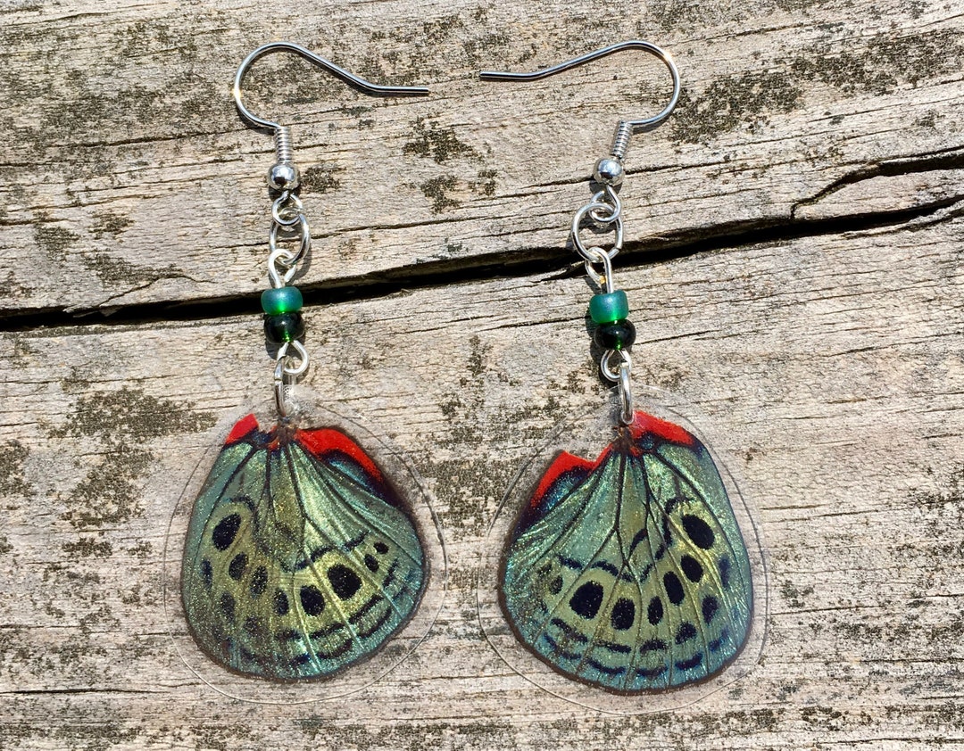 Real Butterfly Earrings Blue Glory Asterope Optima Bottom Hindwings ...