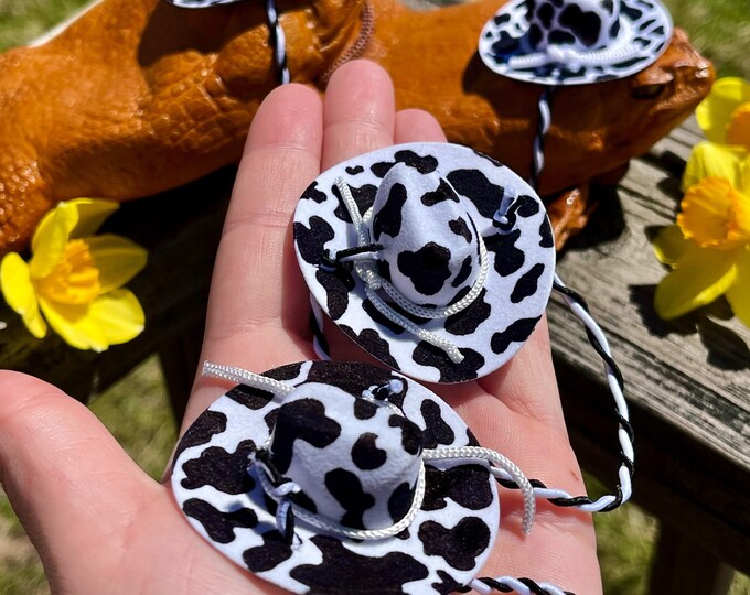 Rootin Tootin' Real Cane Toad With Cow Print Cowboy Hat ~ Full-body ...